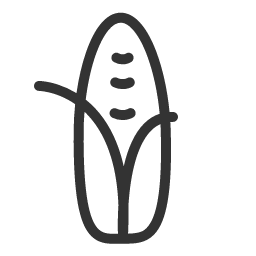 Corn Icon | Free SVG & PNG Download | IconEasy