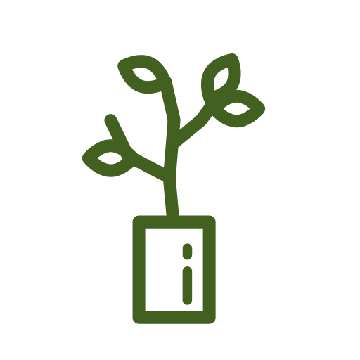 Large Potted Plant - Woody Plant Icon | Free SVG & PNG Download | IconEasy